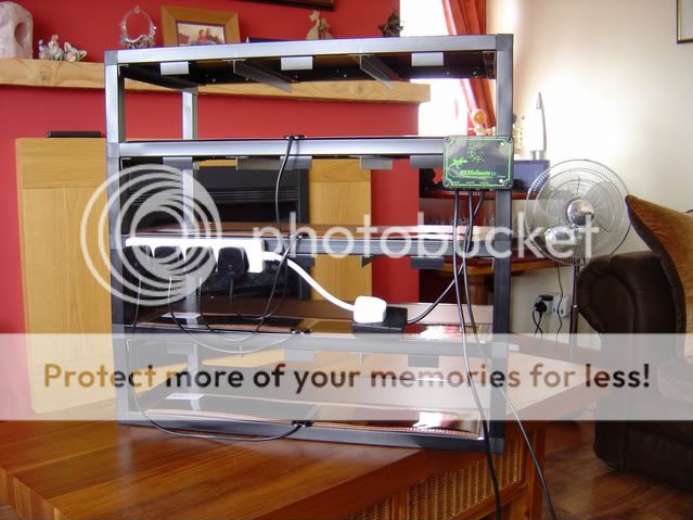 Custom Reptile Racks | Reptile Forums