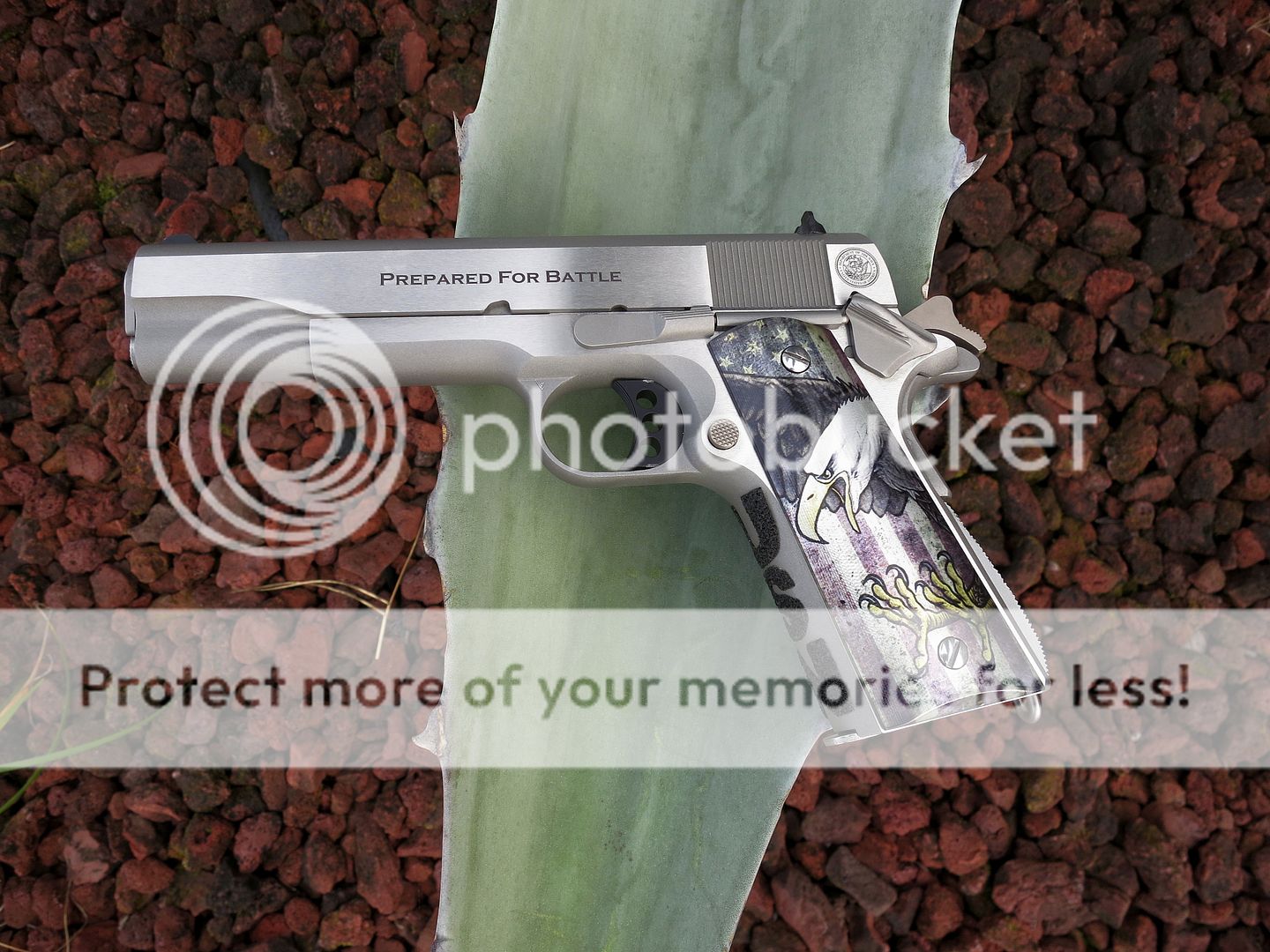 Military veterans - do you have custom (your military branch) grips on ...