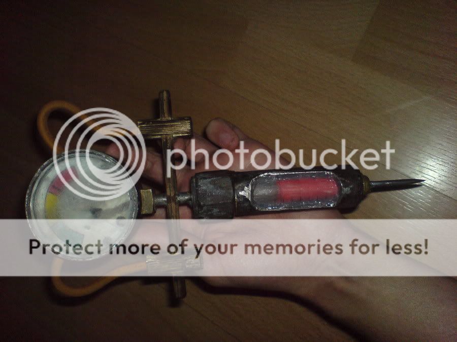 Awesome Pictures - They're The Bee's Knees! | Page 30 | The ...