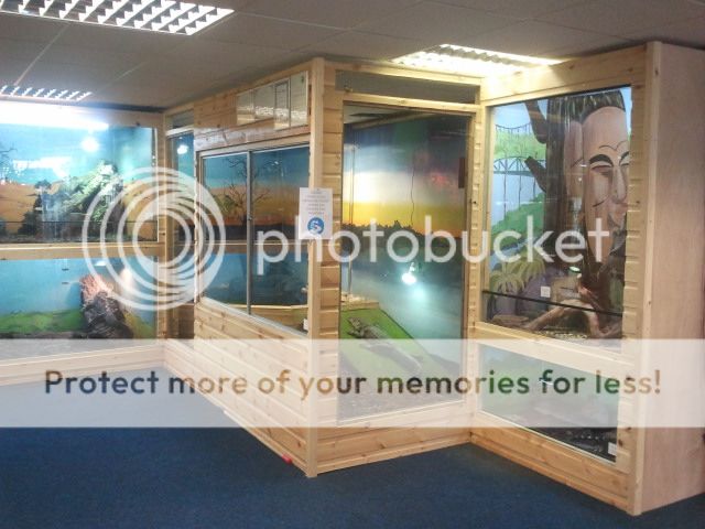 The newly refurbished reptile exhibit at Wrigglies | Reptile Forums
